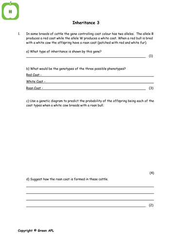 A level Biology revision (year 2) | Teaching Resources