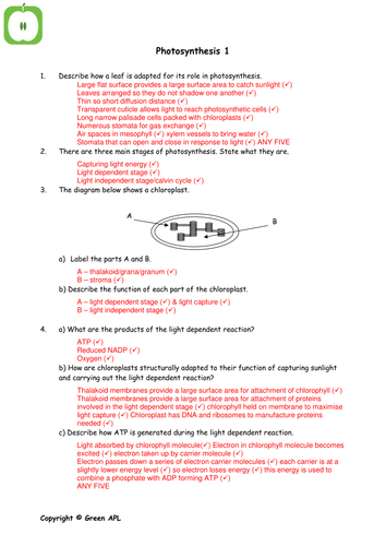 A level Biology revision (year 2) | Teaching Resources