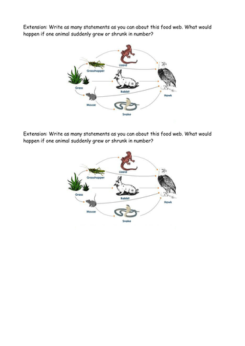 Food Chains Full Lesson with Worksheets, Plan and Food Web Extension ...