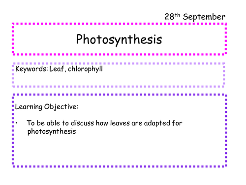 AQA GCSE Photosynthesis SOW | Teaching Resources