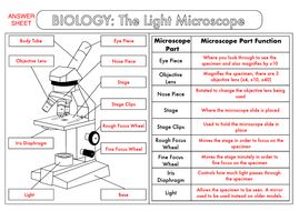 GCSE Biology: Cell Biology Worksheet Pack UPDATED | Teaching Resources