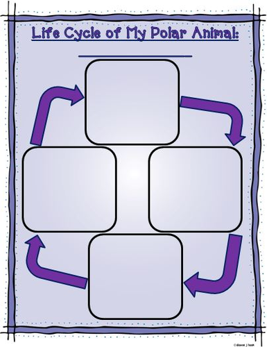 Google Interactive Digital! Polar Animal Report | Teaching Resources