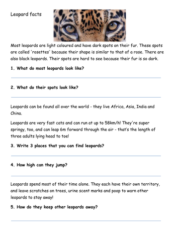 Year 2 guided reading text by sooloo - Teaching Resources - TES