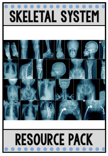 Human Body Systems Printable Pack | Teaching Resources