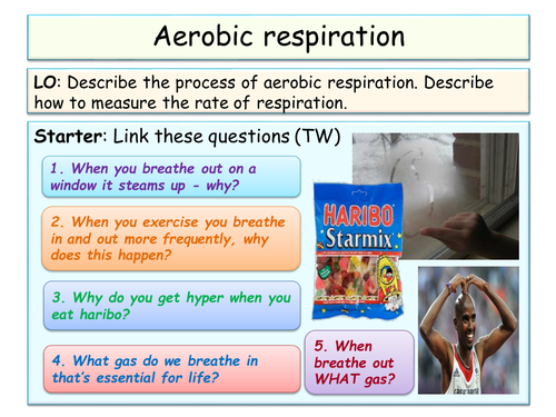 B3 - OCR - respiration, cell division and the heart | Teaching Resources