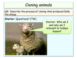 B3 - OCR - selective breeding, cloning and genetic engineering ...