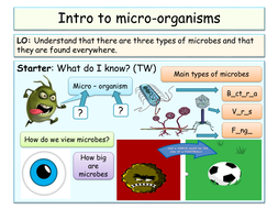 Year 8 - Microbes topic SOW | Teaching Resources