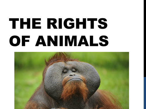 ANIMAL RIGHTS, R.E, RME, Religion | Teaching Resources