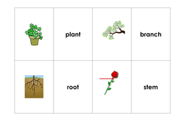 Growing Plants - Games and Activities Supporting Scientific Vocabulary ...