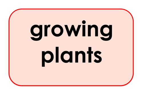 Growing Plants - Games and Activities Supporting Scientific Vocabulary ...