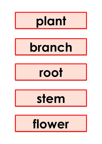 Growing Plants - Games and Activities Supporting Scientific Vocabulary ...
