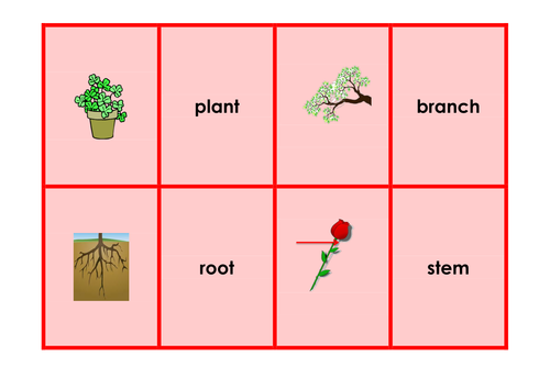Growing Plants - Games and Activities Supporting Scientific Vocabulary ...