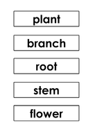 Growing Plants - Games and Activities Supporting Scientific Vocabulary ...