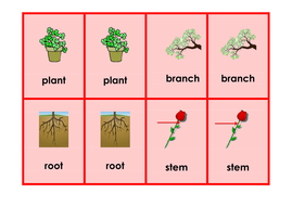 Growing Plants - Games and Activities Supporting Scientific Vocabulary ...