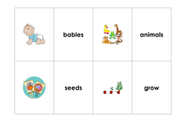 Plants and Animals - Games and Activities Supporting Scientific ...
