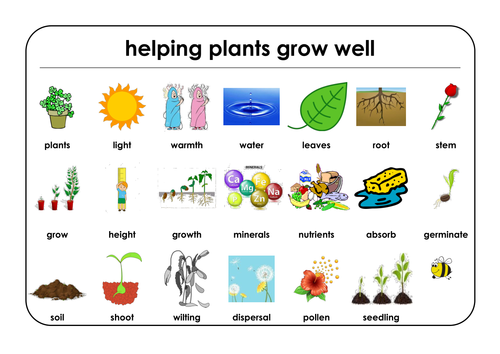Helping Plants Grow Well - Games and Activities Supporting Scientific ...