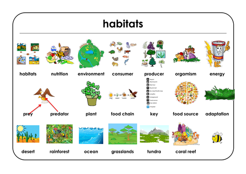 Games and Activities Supporting Year 3 scientific topic vocabulary ...