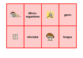 Micro-organisms - Games and Activities Supporting Scientific Vocabulary ...
