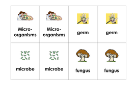 Micro-organisms - Games and Activities Supporting Scientific Vocabulary ...