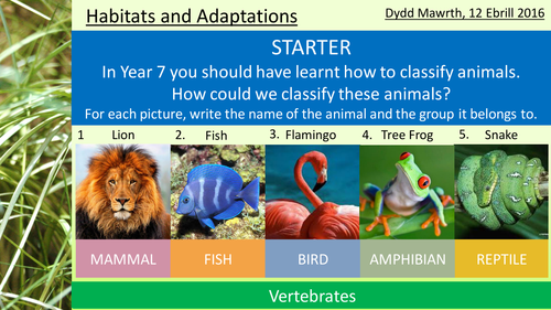 Habitats and Adaptations | Teaching Resources