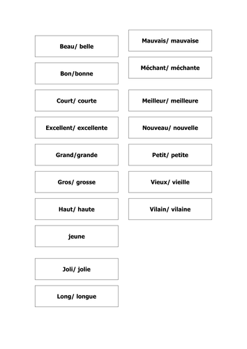 French Teaching Resources Cards: Adjectives Which Precede The Noun ...