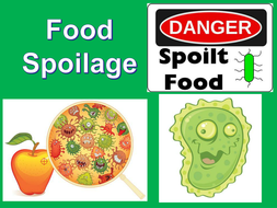 KS3 Food whole lesson on Food Spoilage with Power Point and Worksheet ...