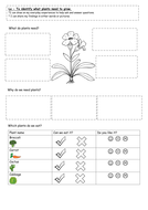 Year 1 - Plants and Growing Unit (Science) | Teaching Resources