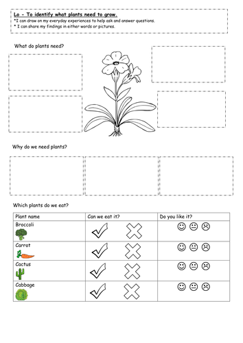 Year 1 - Plants and Growing Unit (Science) | Teaching Resources Year 1 - Plants and Growing Unit (Science) | Teaching Resources
