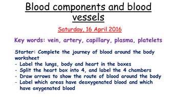 New AQA spec Biology GCSE Blood components and vessels | Teaching Resources