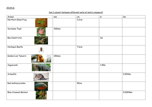 South American Rainforest Animal Maths activity - converting lengths ...