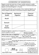 GCSE Biology: Digestion Topic Resource Pack UPDATED by beckystoke ...