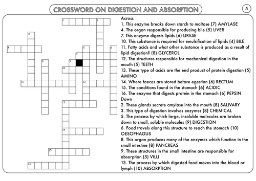 GCSE Biology: Digestion Topic Resource Pack UPDATED | Teaching Resources
