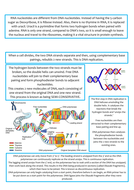 Biology AS Level OCR Revision Notes - Biological Molecules | Teaching ...