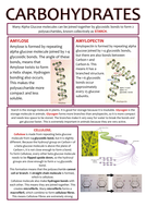 Biology AS Level OCR Revision Notes - Biological Molecules | Teaching ...