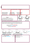 Biology AS Level OCR Revision Notes - Biological Molecules | Teaching ...