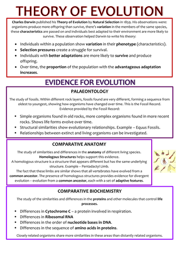 Biology AS Level OCR Revision Notes - Classification | Teaching Resources