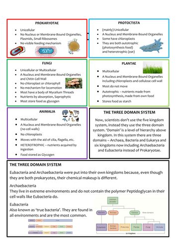 Biology AS Level OCR Revision Notes - Classification | Teaching Resources
