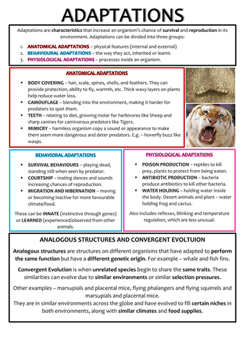 Biology AS Level OCR Revision Notes - Classification | Teaching Resources