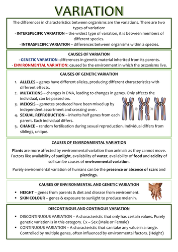 Biology AS Level OCR Revision Notes - Classification | Teaching Resources
