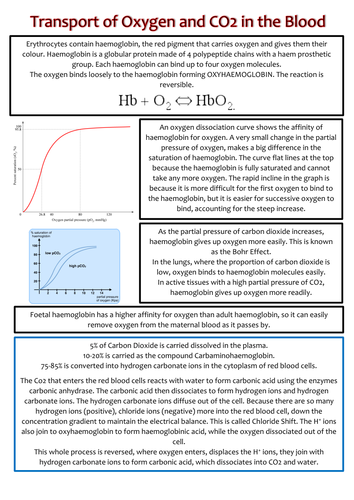 Biology AS OCR Revision Notes - Transport in Animals | Teaching Resources