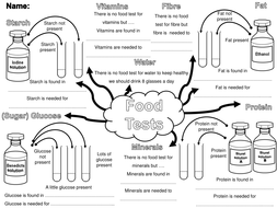 Food test Summary Activity | Teaching Resources