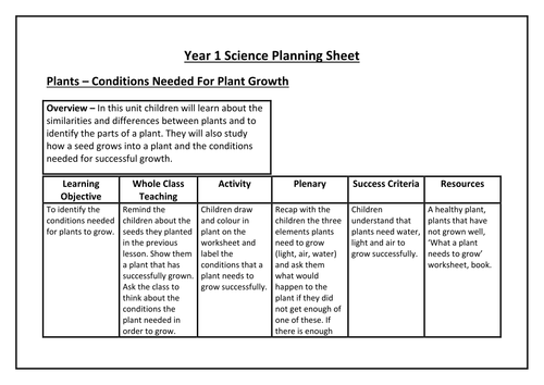 Year 1 Plant - 6 Lesson Plans | Teaching Resources
