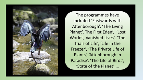 David Attenborough Presentation | Teaching Resources