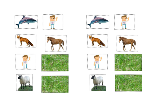 KS1 Food Chains - Differentiated | Teaching Resources