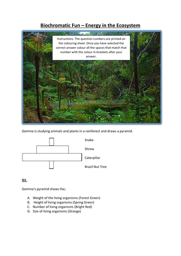 GCSE: Energy in the Ecosystem - Biochromatic Fun! Colouring to ...