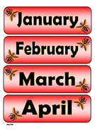 Spelling Bee Themed Pack | Teaching Resources