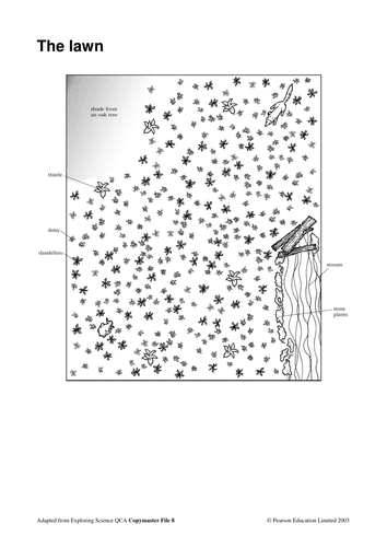 B2 Lesson On Sampling Quadrats Transects Populations Teaching Resources