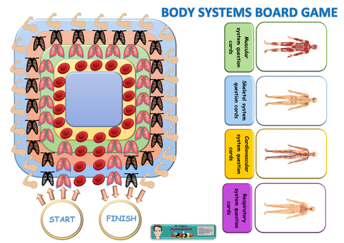 GCSE PE body systems board game | Teaching Resources