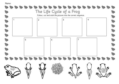 Life Cycles - From Tadpole to Frog Topic Pack | Teaching Resources