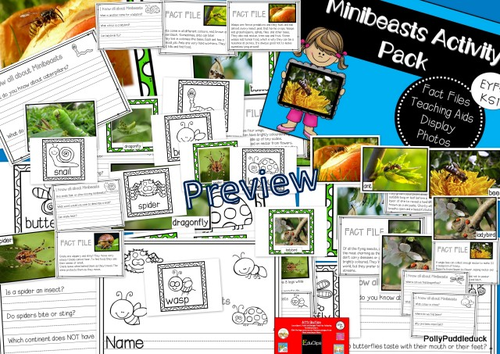 Minibeasts Activity Pack | Teaching Resources